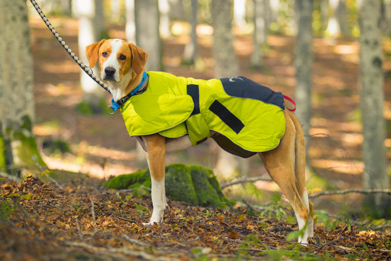 Cappottino Ice-Olation 2.0 - Axaeco
