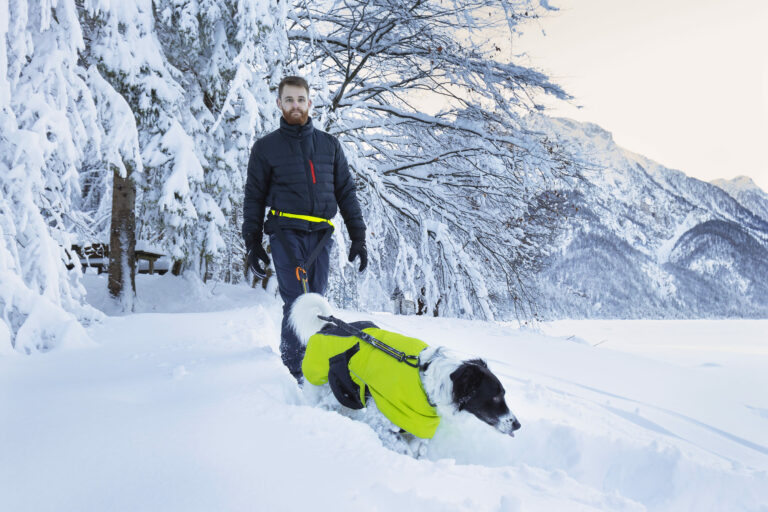 Cappottino Ice-Olation 2.0 - Axaeco