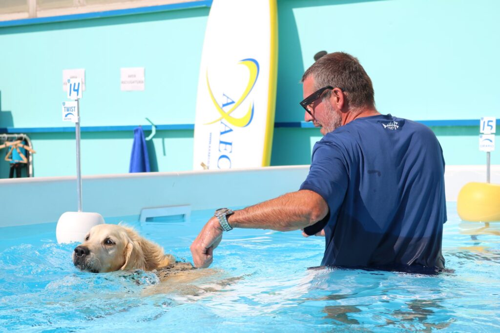 "Swim Dog Sports", the Latest Trend for Water-Loving Dogs in Italy ...