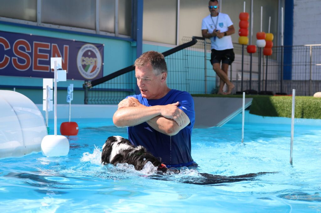 "Swim Dog Sports", the Latest Trend for Water-Loving Dogs in Italy ...